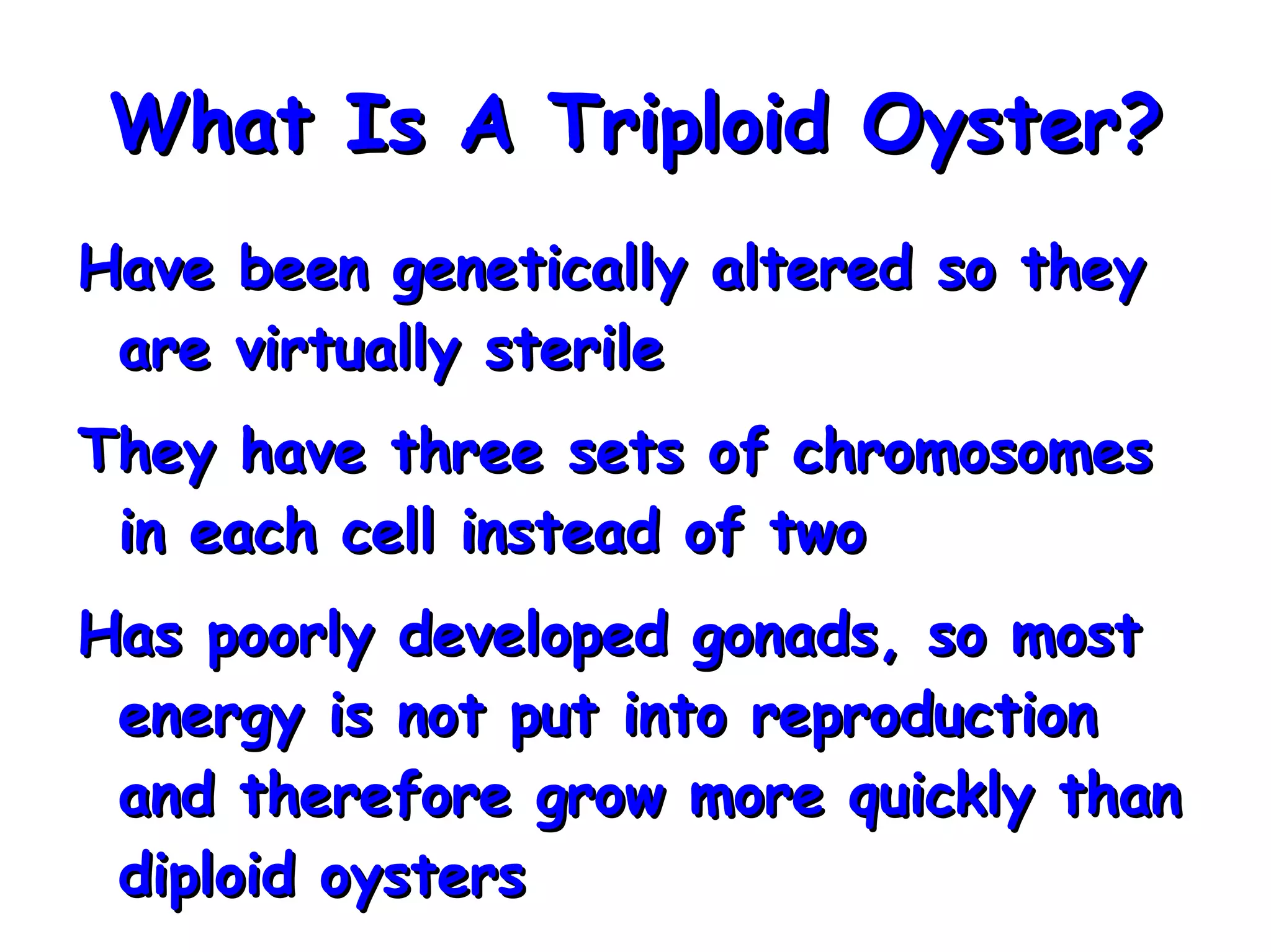 Triploid Oyster | ODP | Genetics | Science