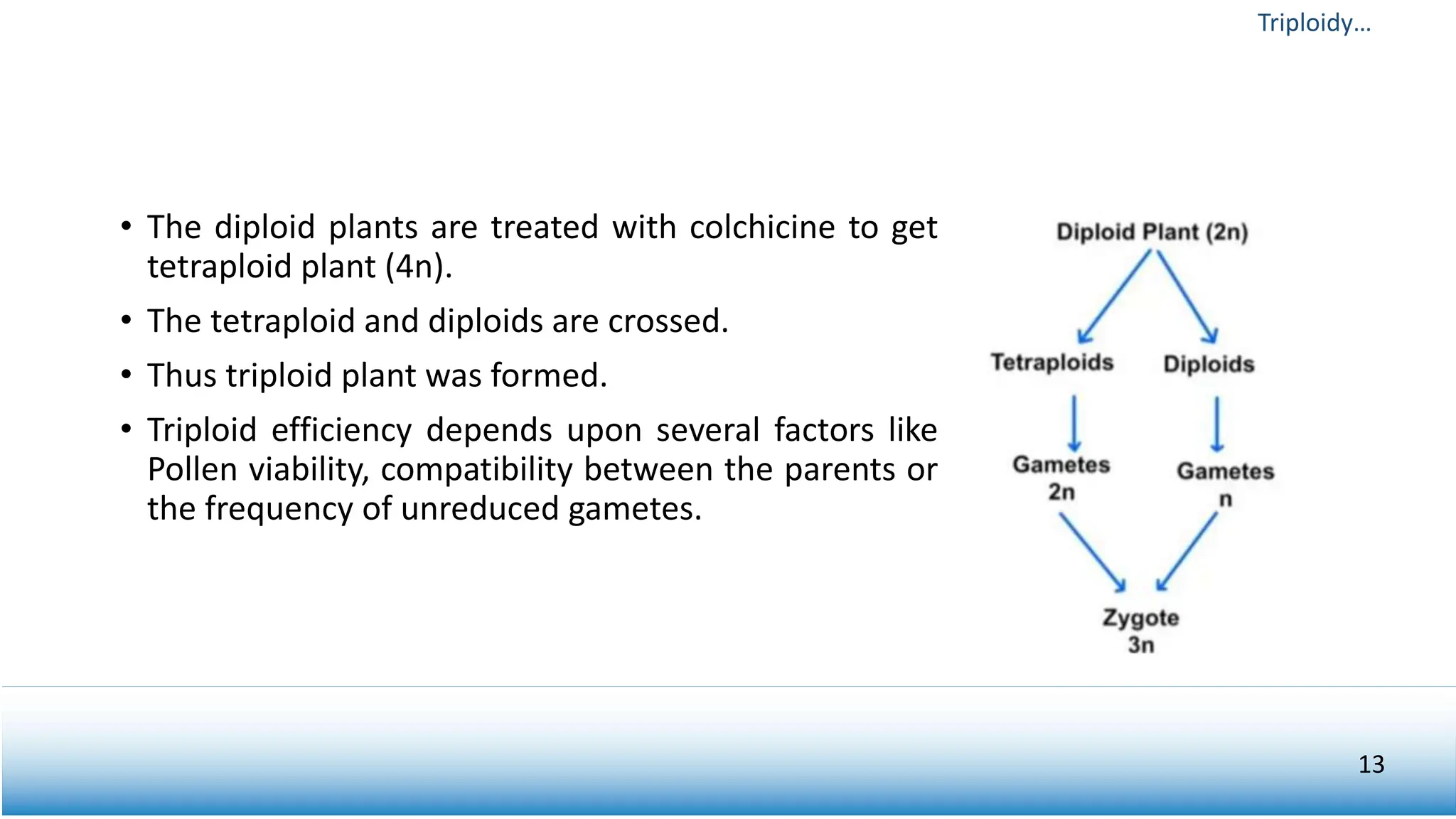 Triploidy ...............................pptx