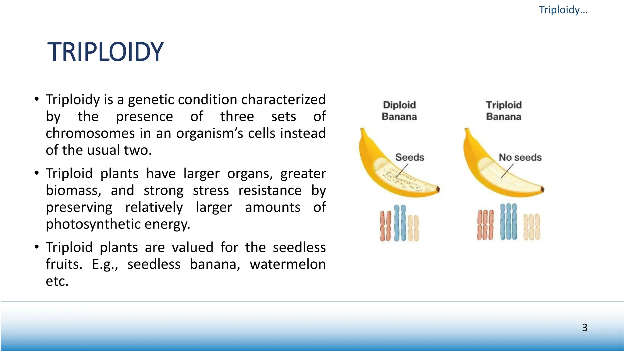 Triploidy ...............................pptx