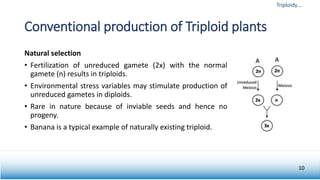 Triploidy ...............................pptx