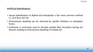 Triploidy ...............................pptx