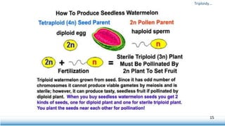 Triploidy ...............................pptx