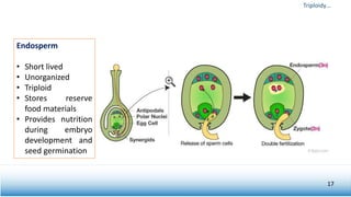Triploidy ...............................pptx
