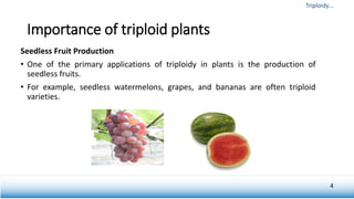 Triploidy ...............................pptx