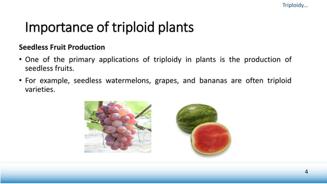 Triploidy ...............................pptx | Gardening | Home & Garden