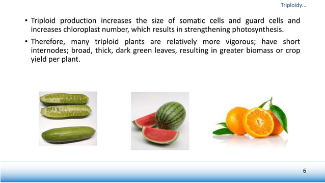 Triploidy ...............................pptx | Gardening | Home & Garden