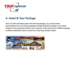Trip Option Travel Agency Business | PPTX