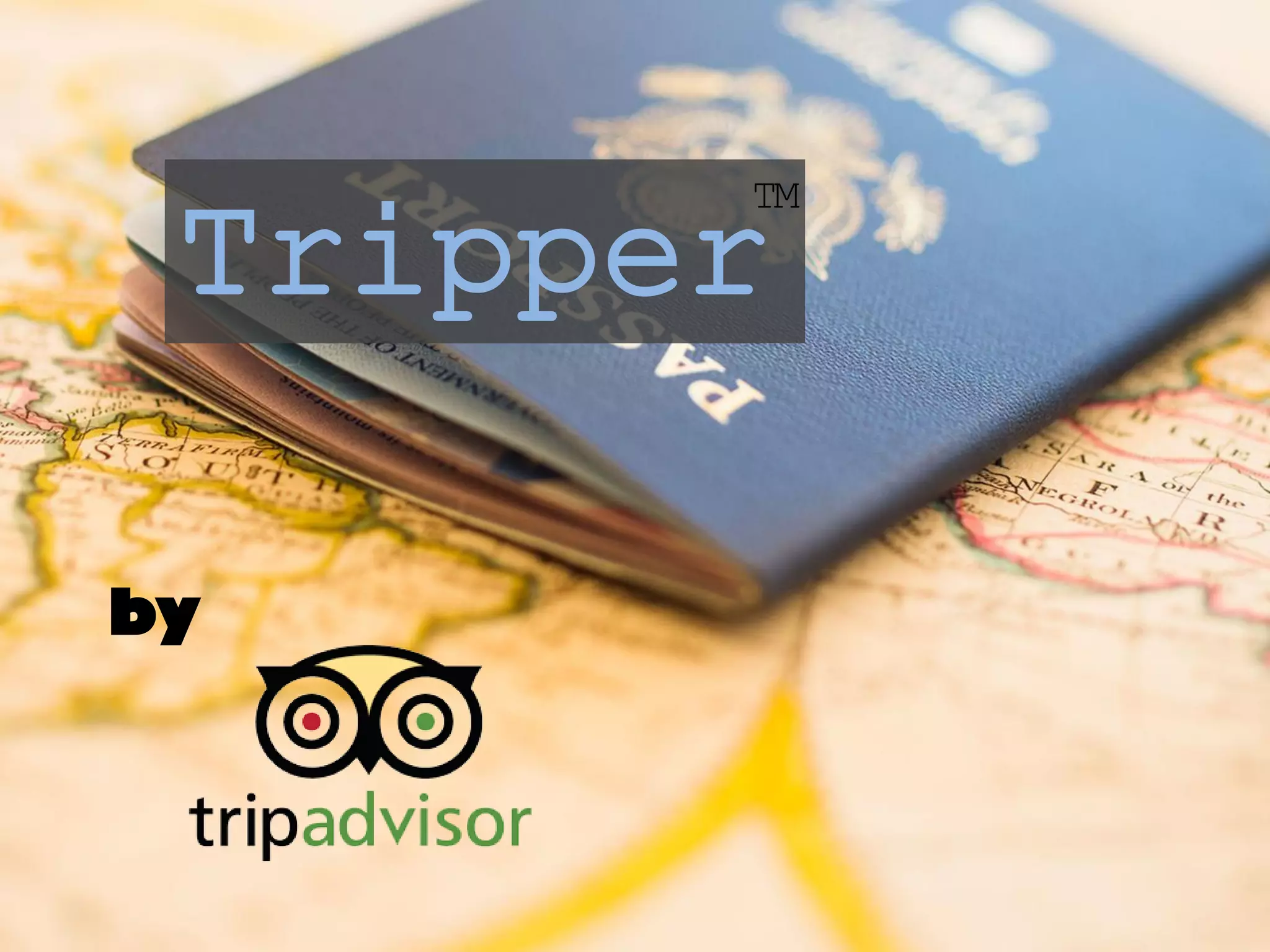 Marketing Plan for a New Mobile App-Tripper | PDF