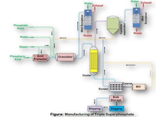 Triple super phosphate | PPT