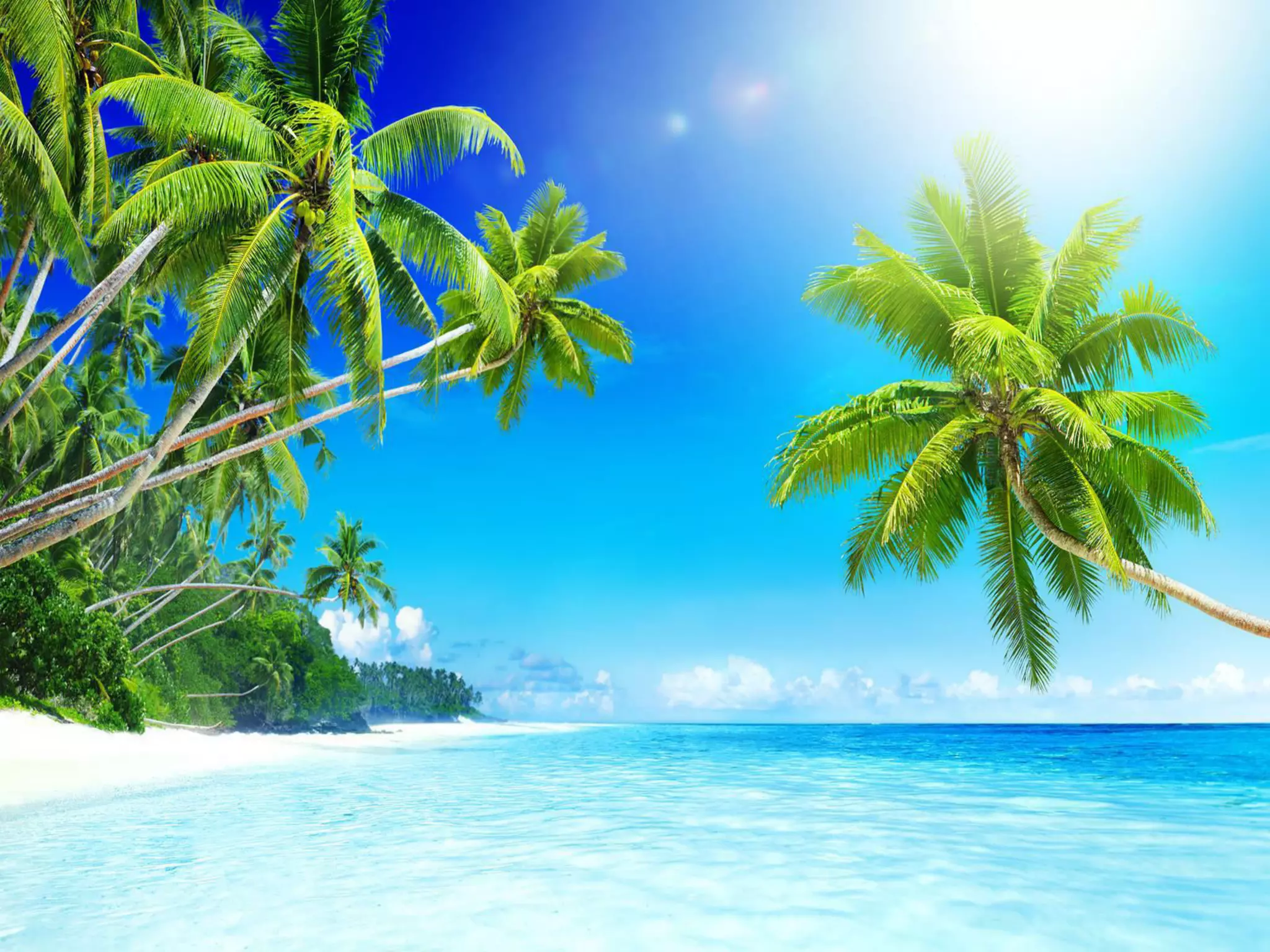 Tripps Travel Network | PDF