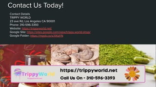TRIPPY WORLD | PDF