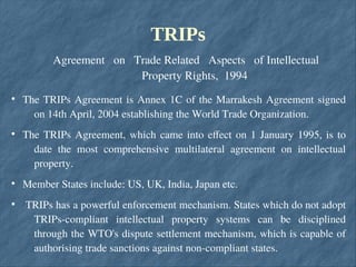 TRIPs Treaty and Computer Programs | PDF