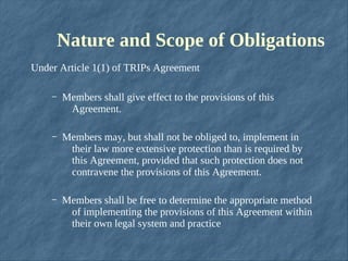 TRIPs Treaty and Computer Programs | PDF