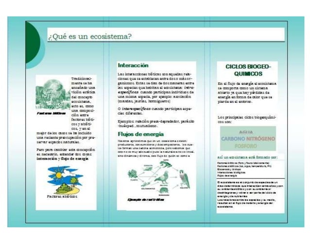 Triptico | PPT | Free Download