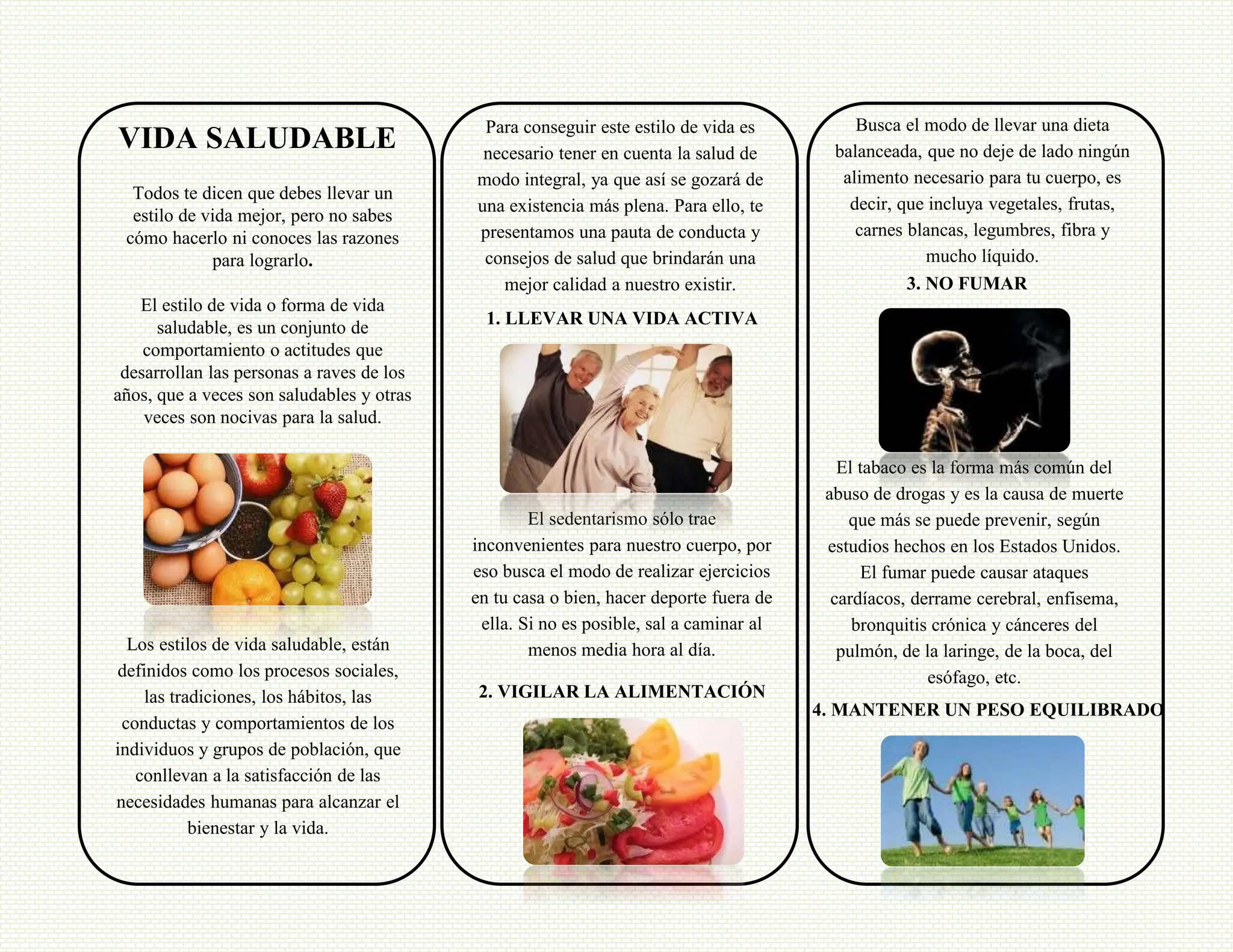 Triptico-de-la-Vida-Saludable-2 (1).pptx