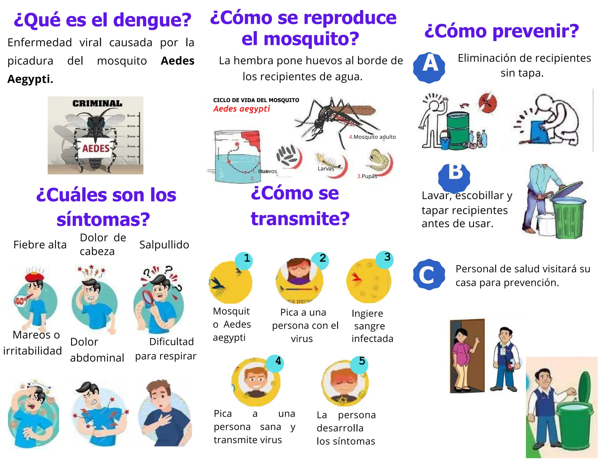 Triptico-dengue.pdf.pdf como prevenir el dengue | PDF