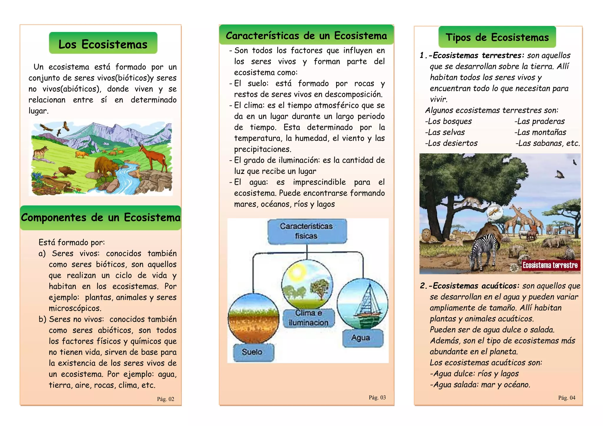 Triptico-Ecosistema.pdf