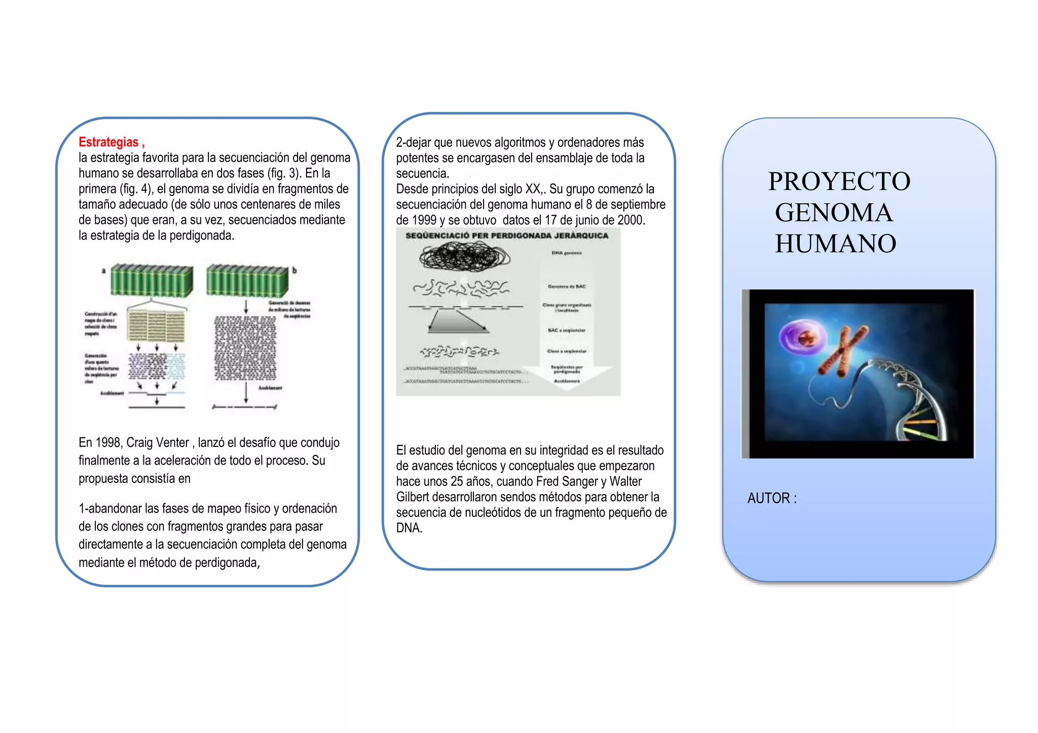 TRIPTICO-Proyecto Genoma Humano.docx