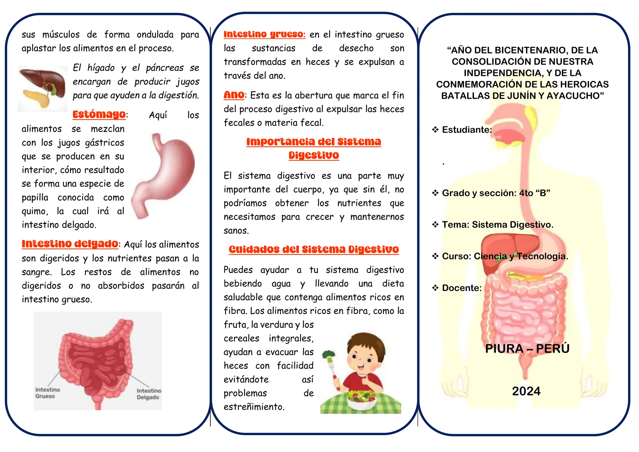 TRIPTICO DEL SISTEMA DIGESTIVO INFO PRIMARIA | PDF