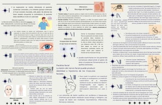 Tríptico 12 pares craneales.pdf
