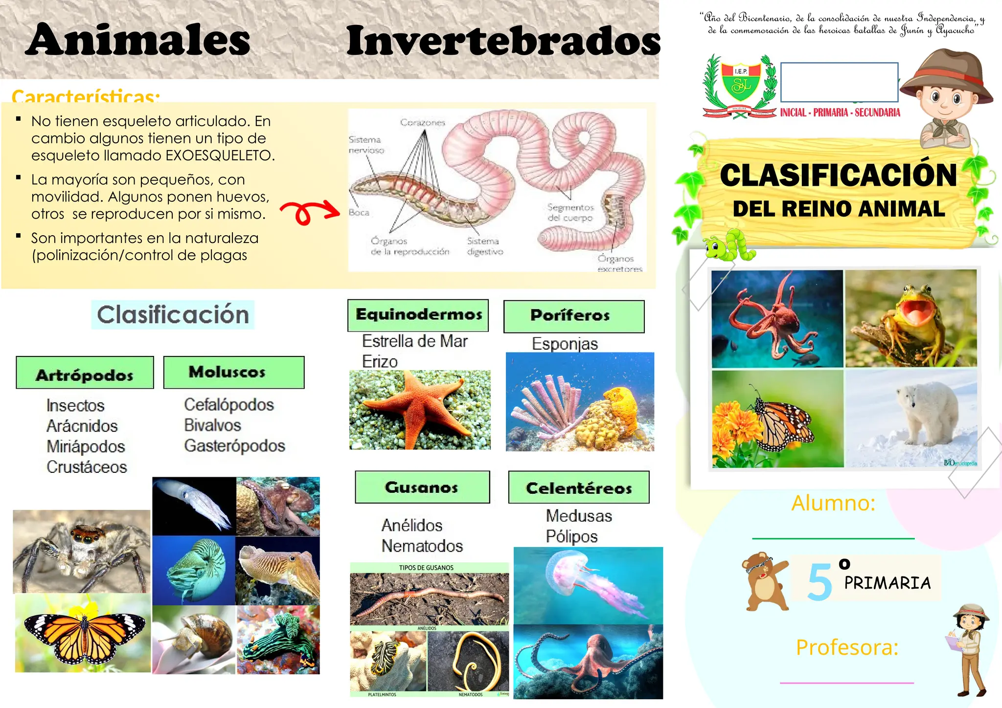 Animales Vertebrados E Invertebrados Vertebrados E Invertebrados