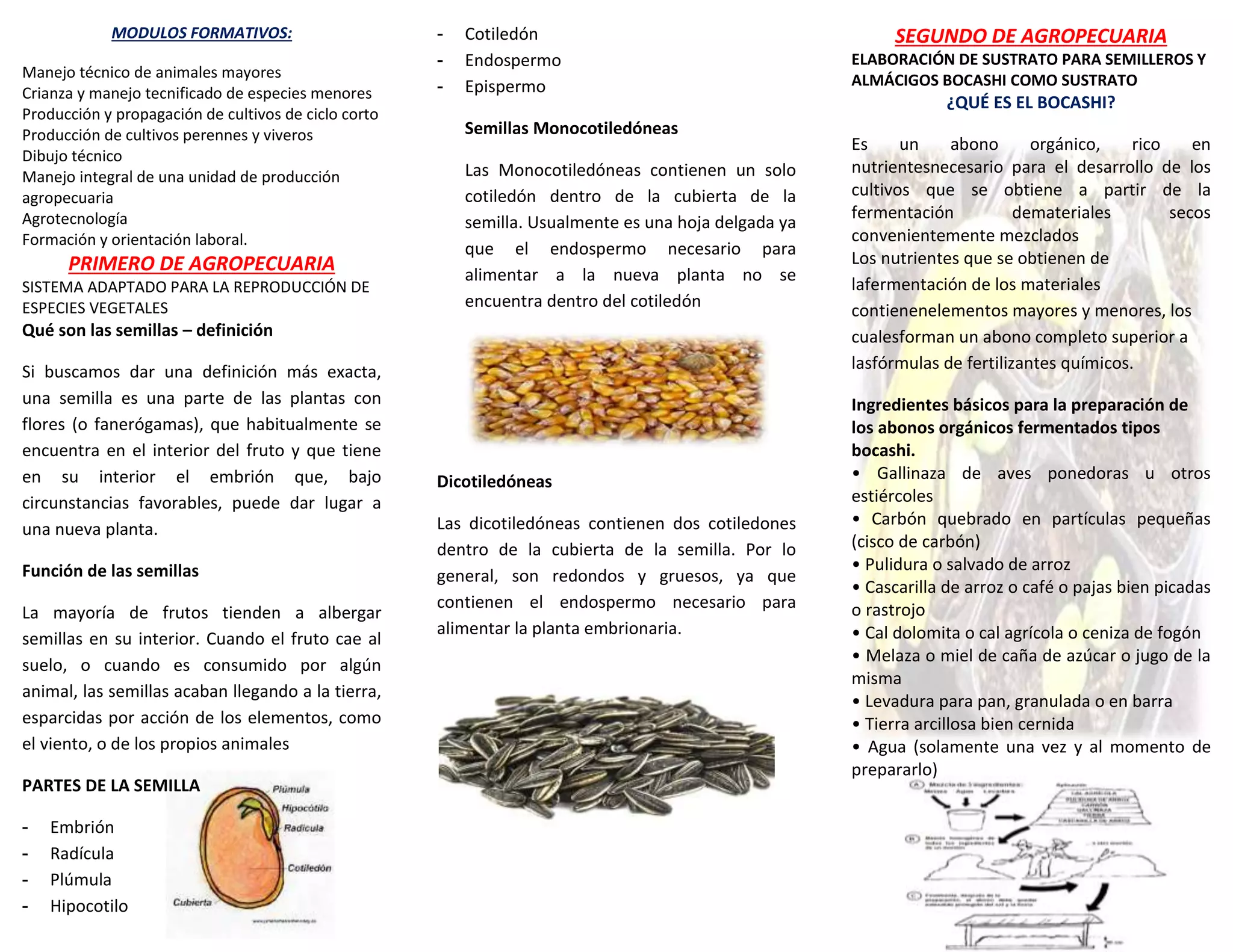 Triptico Agropecuaria | DOCX