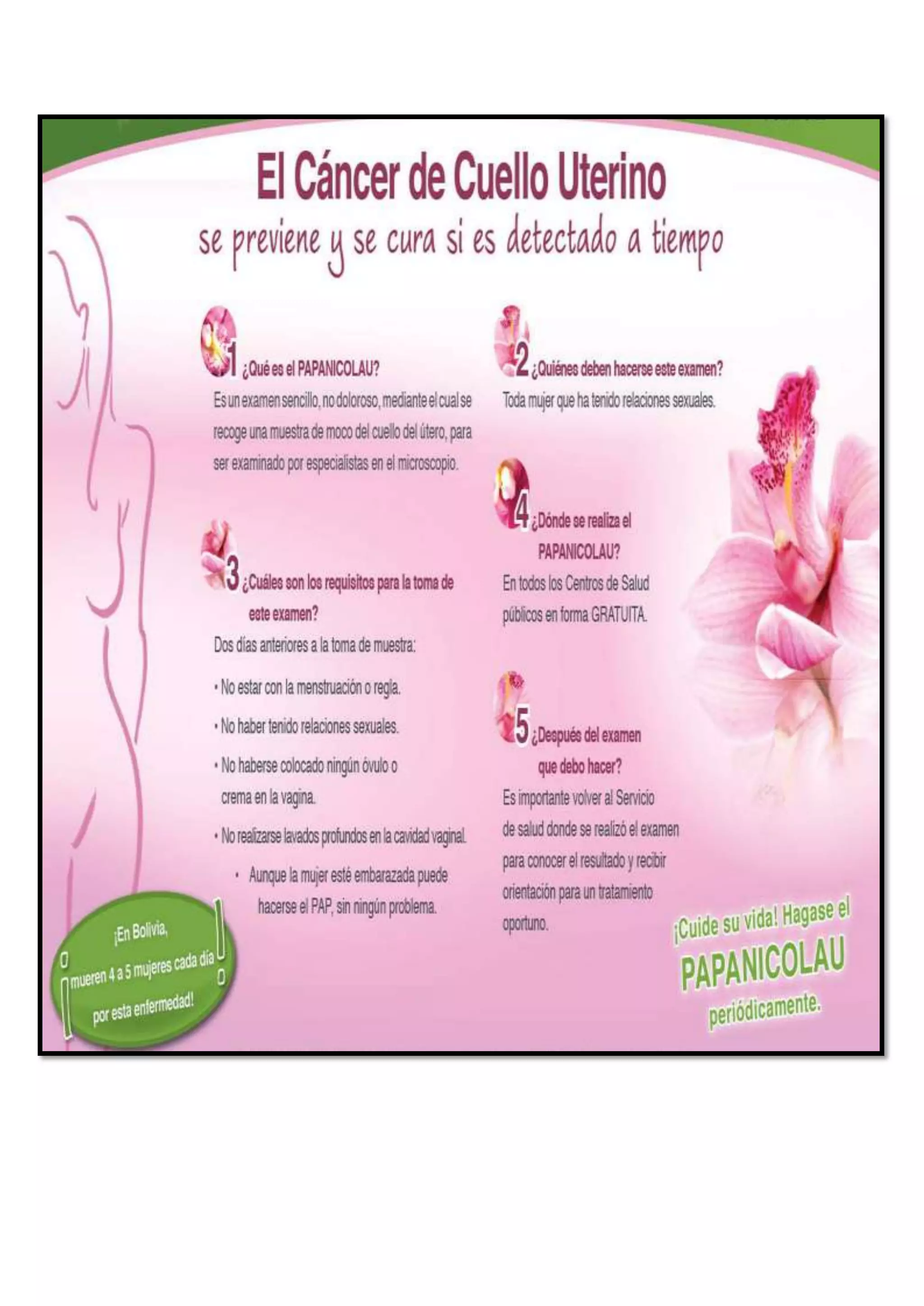 Triptico cancer cuello uterino | PDF