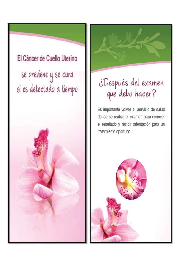 Triptico cancer cuello uterino | PDF