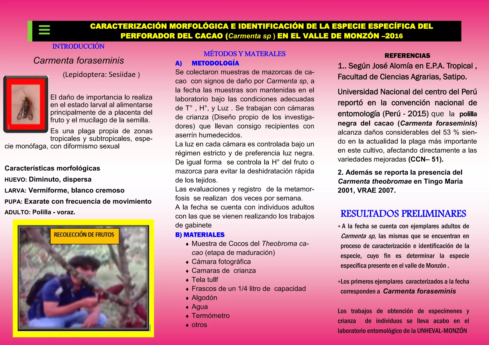 Triptico de la Carmenta foraseminis | PDF