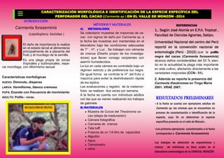 Triptico de la Carmenta foraseminis | PDF