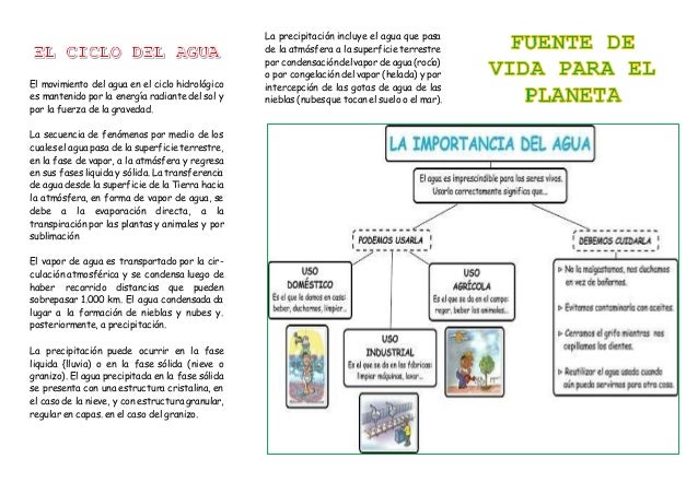 Triptico del ciclo del agua Triptico del ciclo del agua