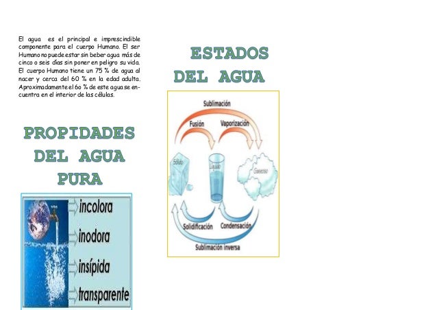 Triptico del ciclo del agua Triptico del ciclo del agua