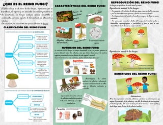 TRIPTICO DEL REYNO FUNGI, CARACTERISTICAS | PDF