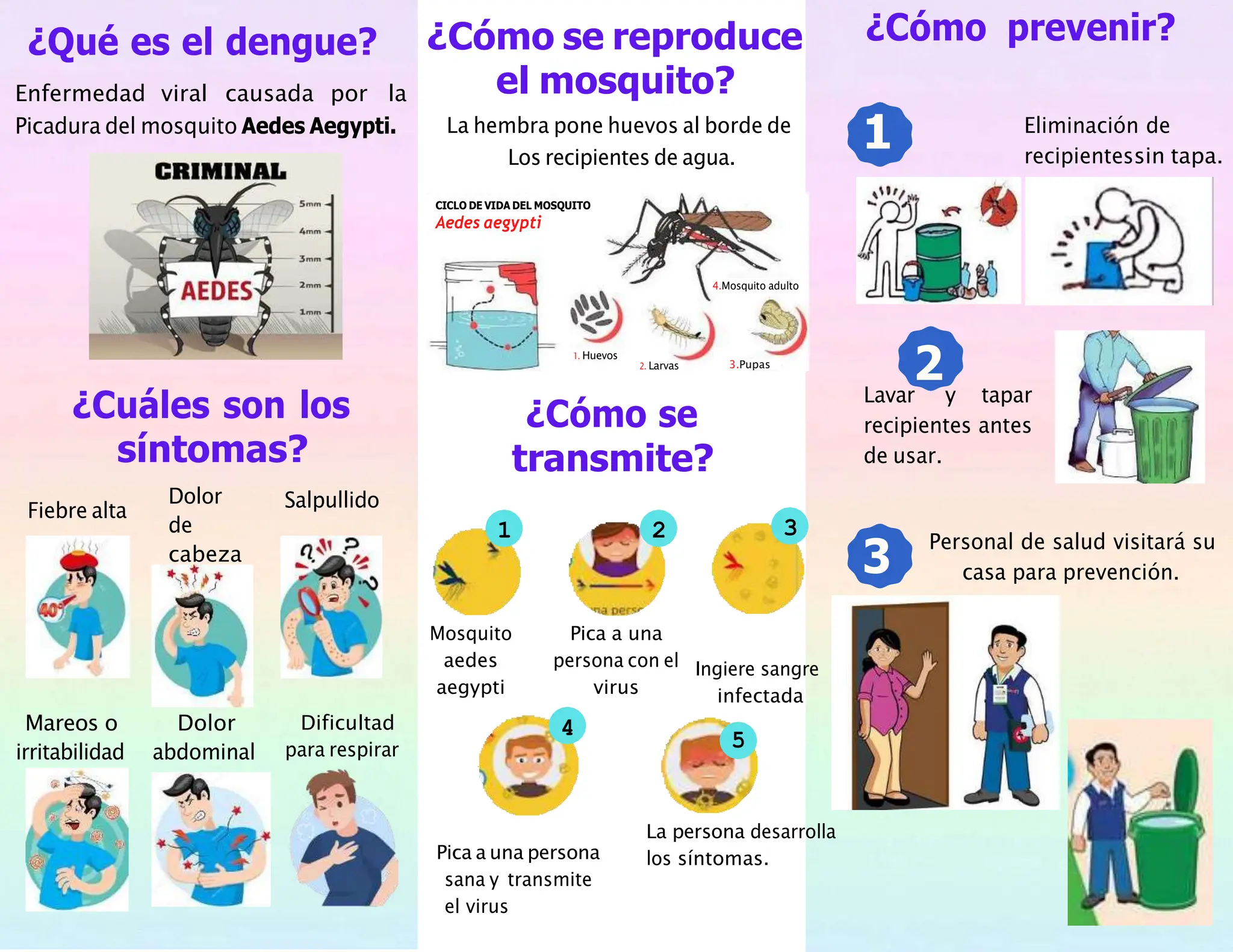 tríptico dengue.docx................................ | DOCX