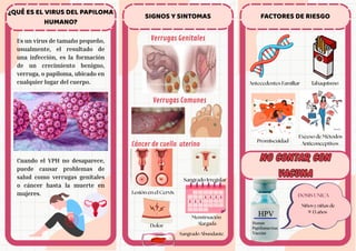 Triptico de vph en la salud reproductiva | PDF