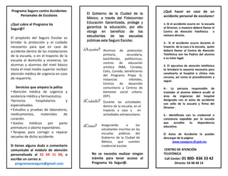 Triptico va seguro | PDF