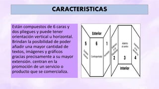 TRIPTICO FINAL.pdf