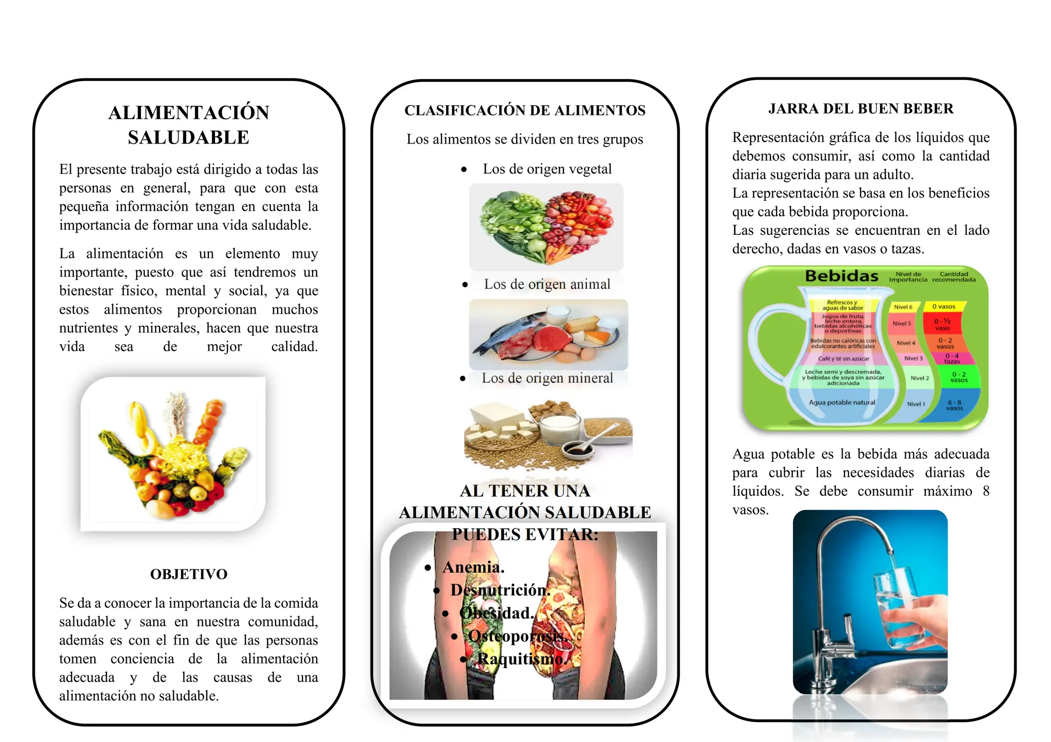 TRIPTICO COMIDA SALUDABLE PARA PRIMARIA CIX | PDF