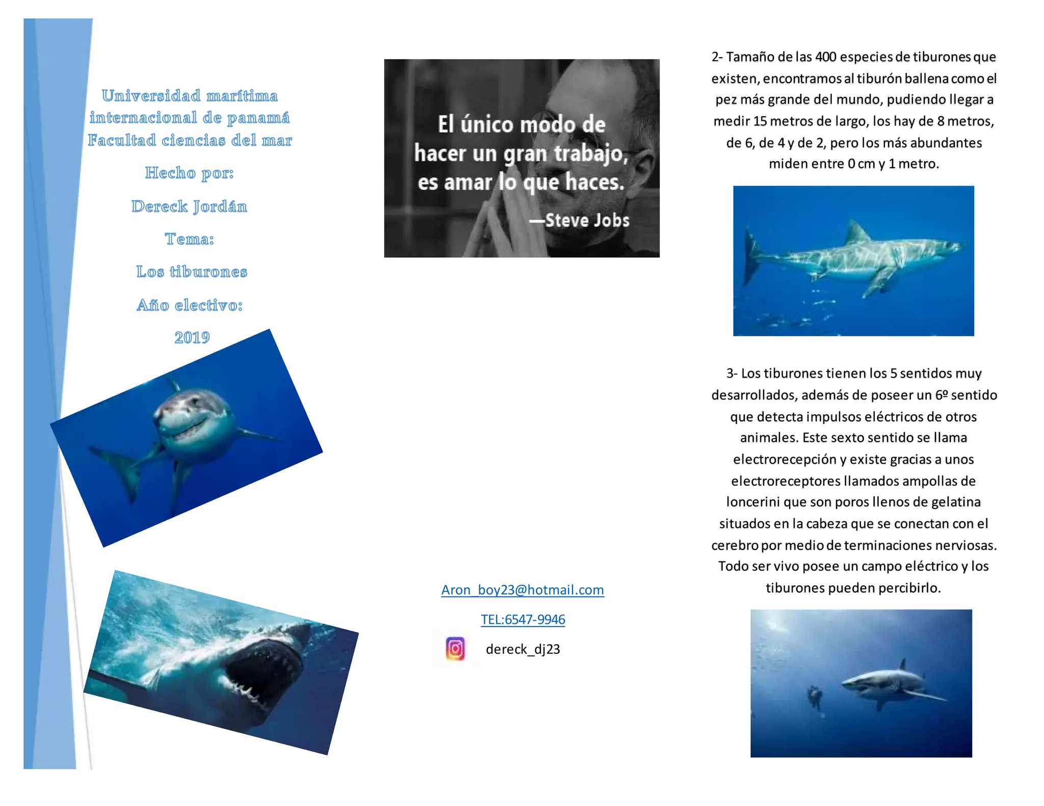 Los Tiburones | DOCX