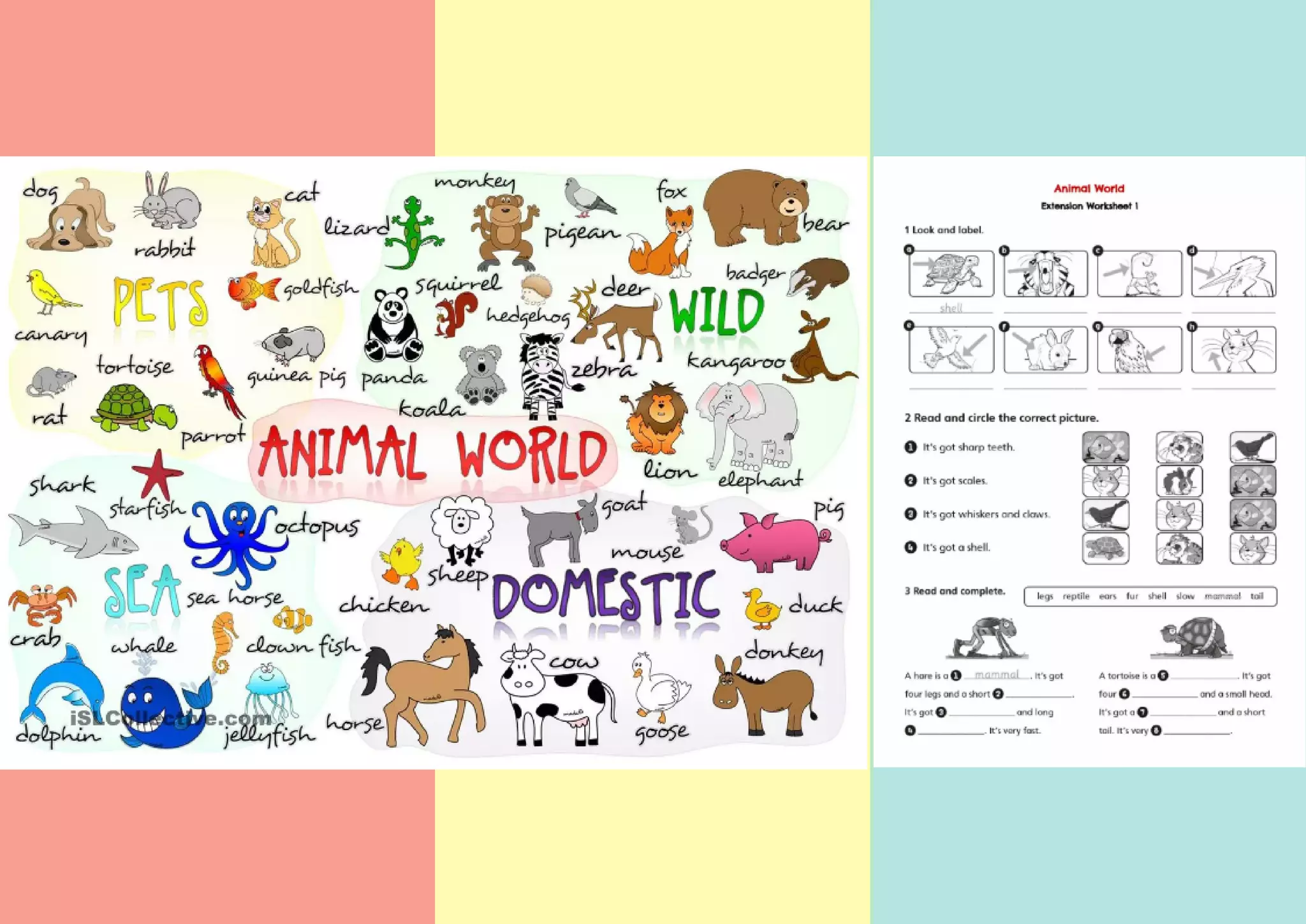 Triptico ingles (1) | PPT