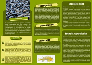 Triptico peces ofrece información general.pdf