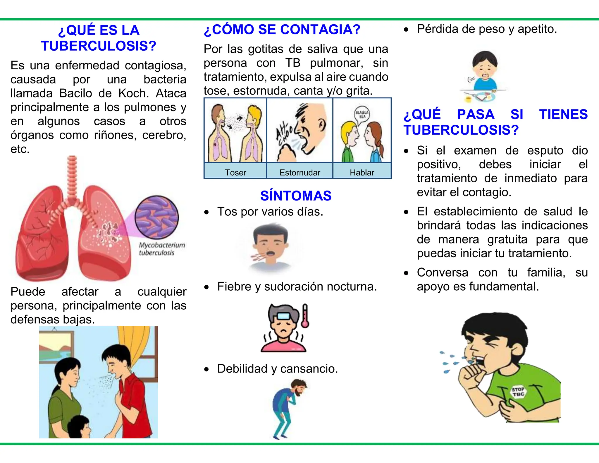Tríptico de prevención de Tuberculosis (TBC) | DOCX | Infectious ...