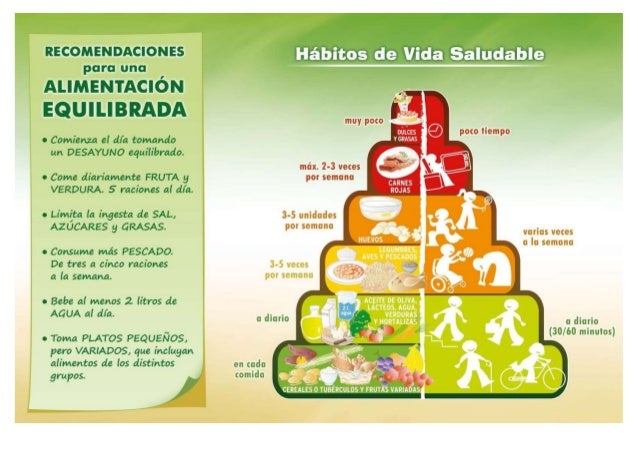 Triptico De Vida Saludable Triptico De Vida Saludable