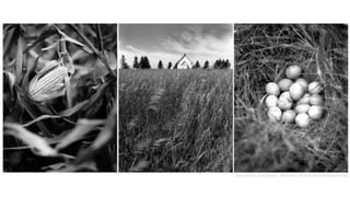 Triptych examples | PPTX