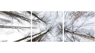 Triptych examples | PPTX