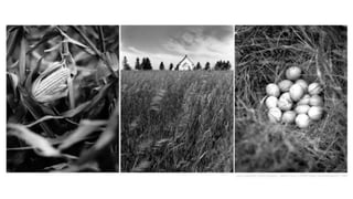 Triptych examples | PPTX