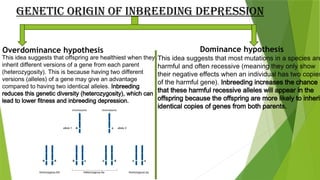 Inbreeding Depression: Understanding the Genetic Consequences | PPTX