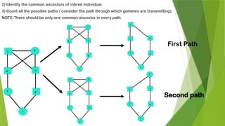 Inbreeding Depression: Understanding the Genetic Consequences | PPTX