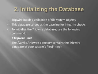 Tripwire | PPTX