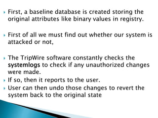Tripwire.ppt